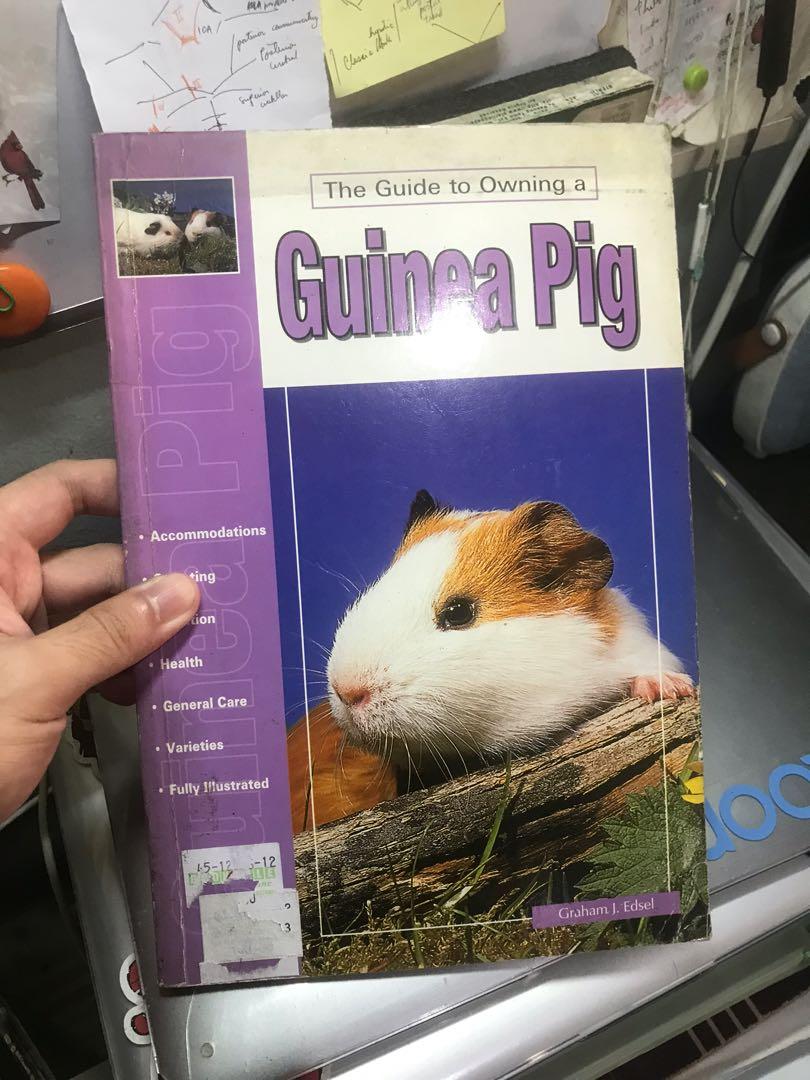 Guinea pig care books Barron Animal Planet, Hobbies & Toys, Books ...