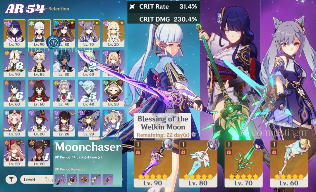 Ayaka Mistsplitter, Raiden Primordial Spear, Keqing Skyward Blade, C1 ...