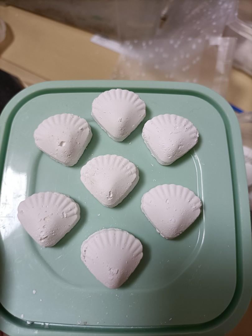 [Calcium] Cakes for snails and isopods, Pet Supplies, Pet Food on Carousell