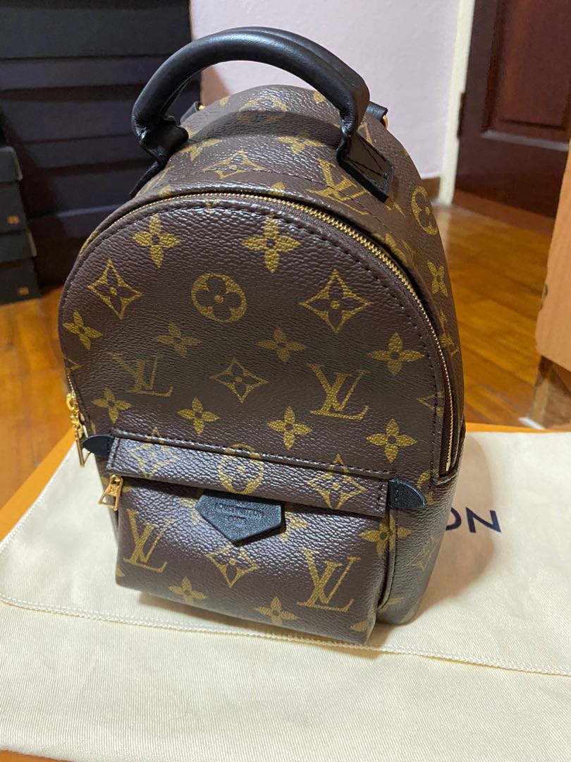 LV Palm Spring Mini (new zipper version), Luxury, Bags & Wallets on ...