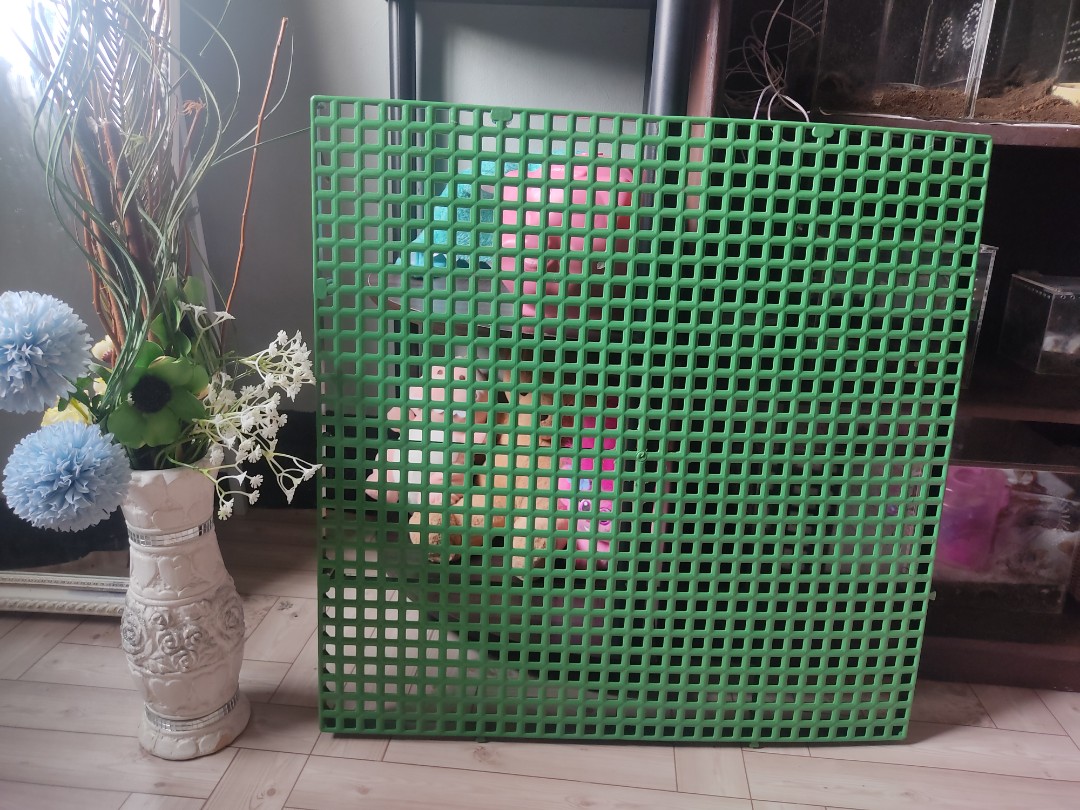 Plastic Matting, Furniture & Home Living, Gardening, Pots & Planters on ...