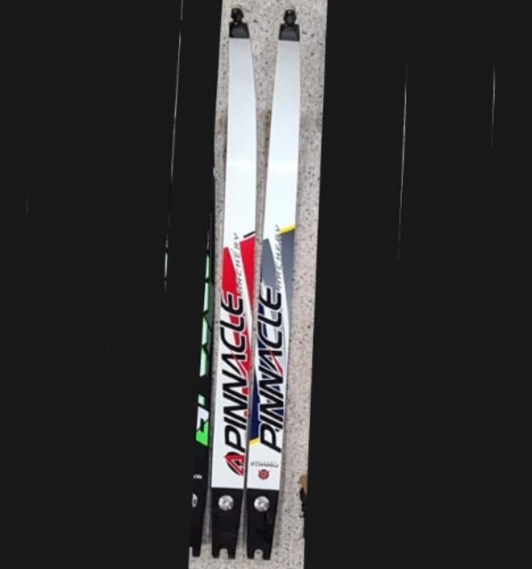 Archery Pinnacle Ballista (70 inch 24 lb), Sports Equipment, Other ...