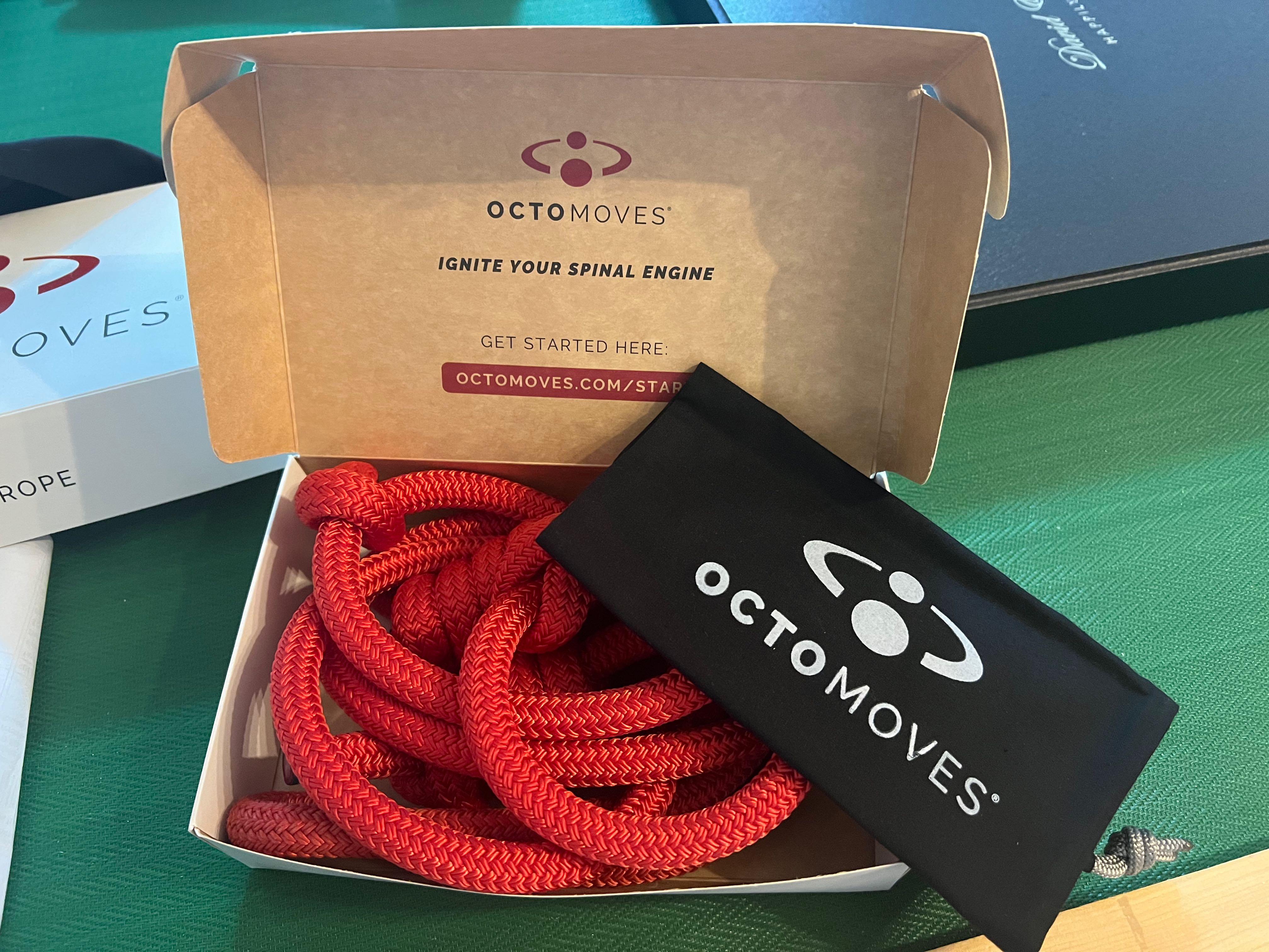 OCTOMOVES Flow Ropes Weighted, Sports Equipment, Exercise & Fitness ...