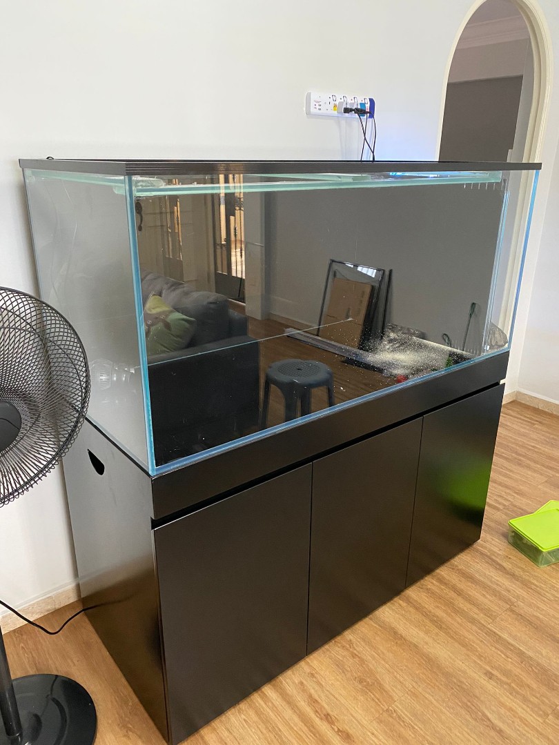 Custom Made Crystal Clear Glass Tanks, Pet Supplies, Homes & Other Pet ...