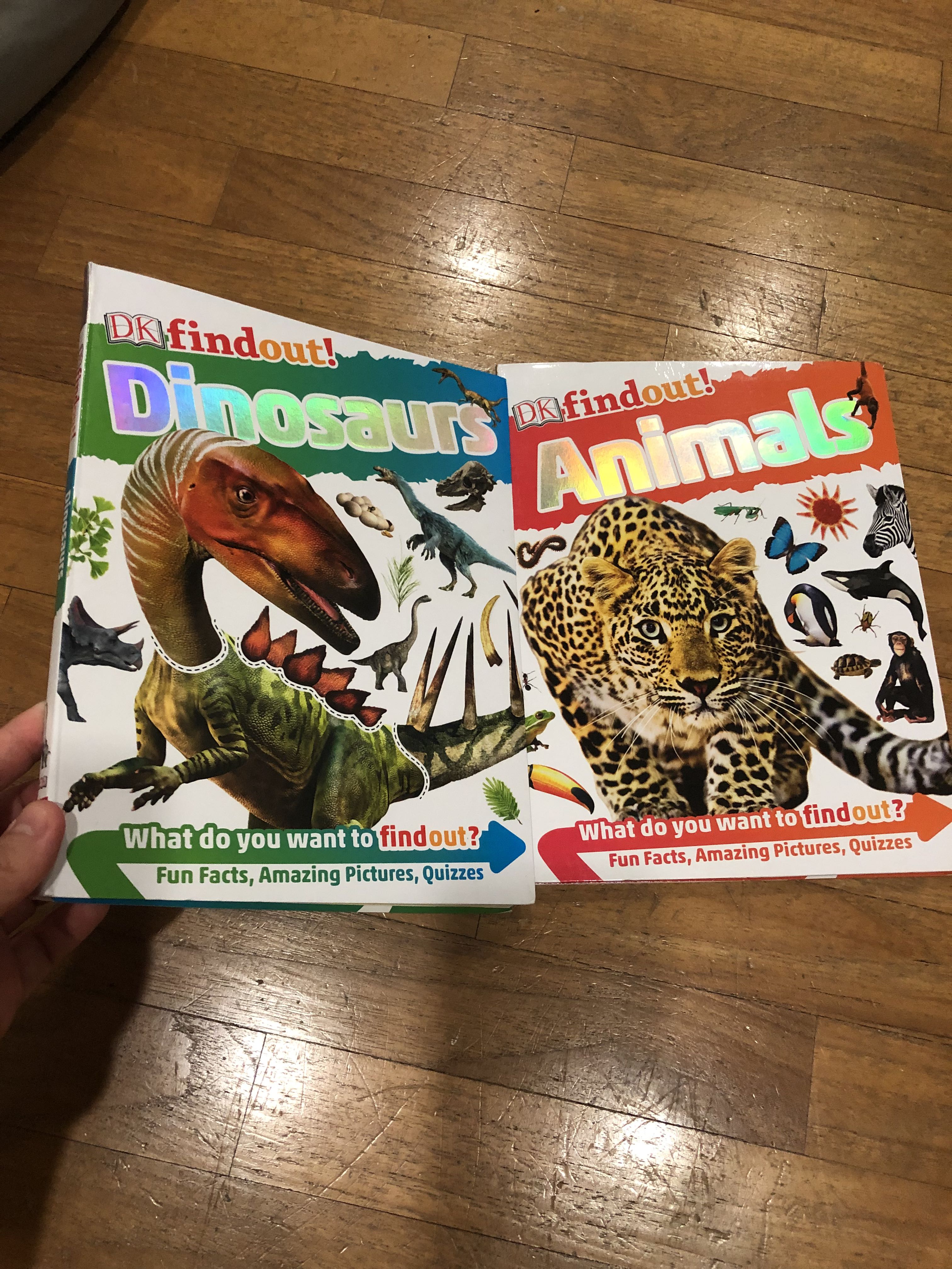 DK Junior reference Find Out Dinosaurs Animals children kids book ...