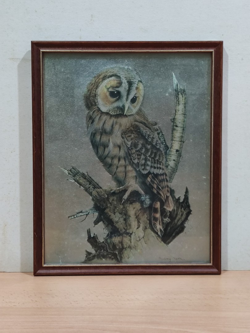 Framed Foil Art Owl by Audrey North, Hobbies & Toys, Stationery & Craft ...
