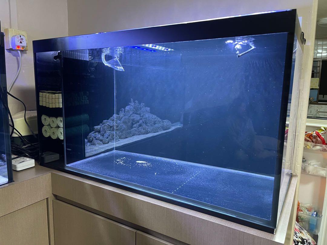 Custom IOS Fish Tank, Pet Supplies, Homes & Other Pet Accessories on ...