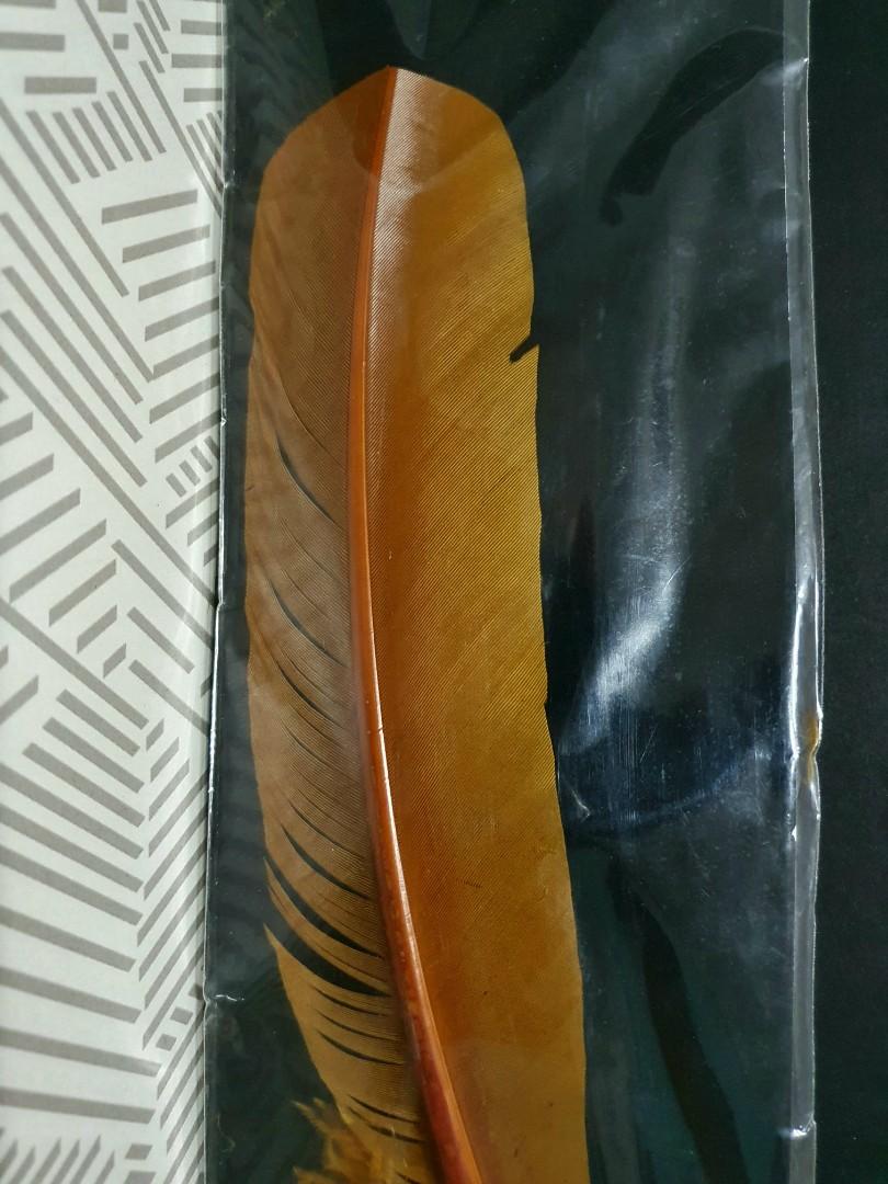 Harry potter wand and quill pen by golden village, Hobbies & Toys ...