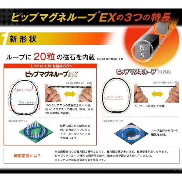 PIP Magneloop EX magnetic necklace, Health & Nutrition, Medical ...