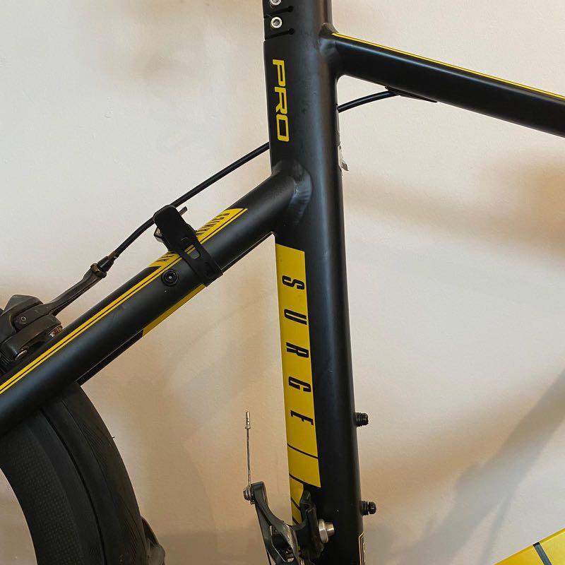 Tern Surge Pro (mini velo) *Size 52, Sports Equipment, Bicycles & Parts, Bicycles on Carousell