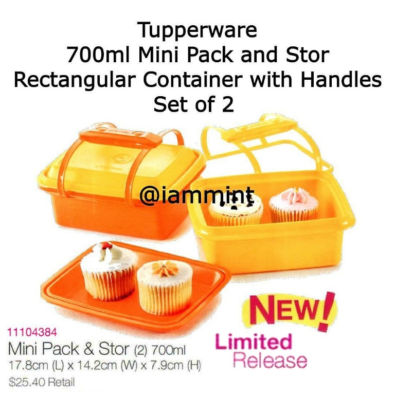 Tupperware 700 ml Mini Pack and Stor Rectangular Container with Carrier ...