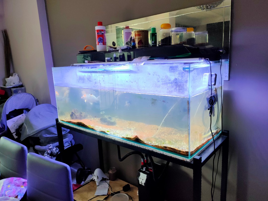 4ft tank with sump and Stand, Pet Supplies, Homes & Other Pet ...