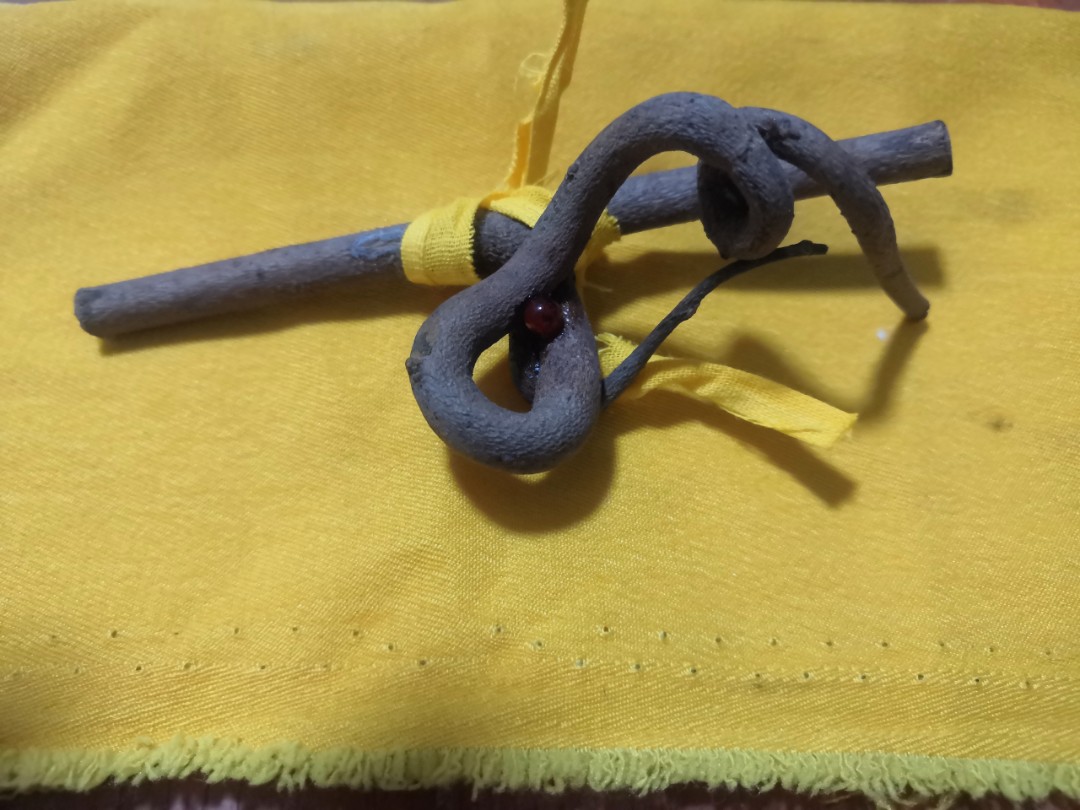 Larak salak asli Kalimantan, Hobbies & Toys, Memorabilia & Collectibles ...