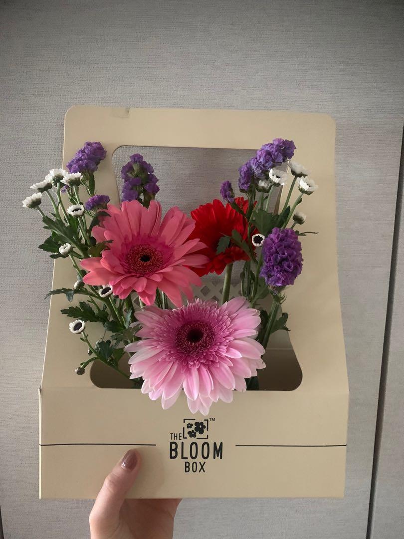DIY Bloom Box (collect bukit batok), Hobbies & Toys, Stationery & Craft ...