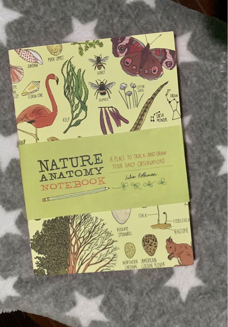 Nature Anatomy Notebook by Julia Rothman, Hobbies & Toys, Books ...