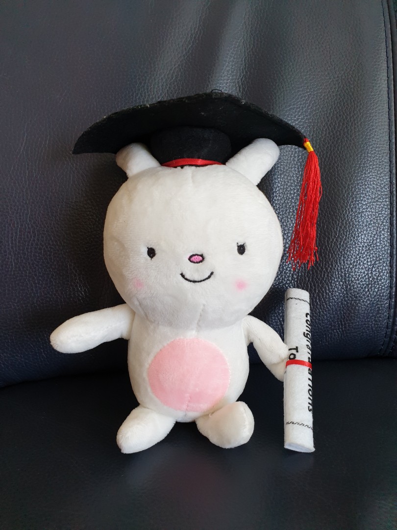 21 cm graduation rabbit - descendant of the sun rabbit, Hobbies & Toys ...
