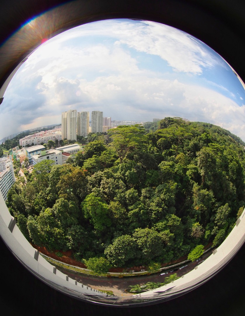 Nodal ninja 7.3mm F4 full circular fisheye for Olympus / Panasonic ...