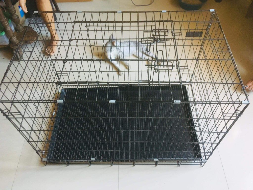 Pet cage, Pet Supplies, Homes & Other Pet Accessories on Carousell
