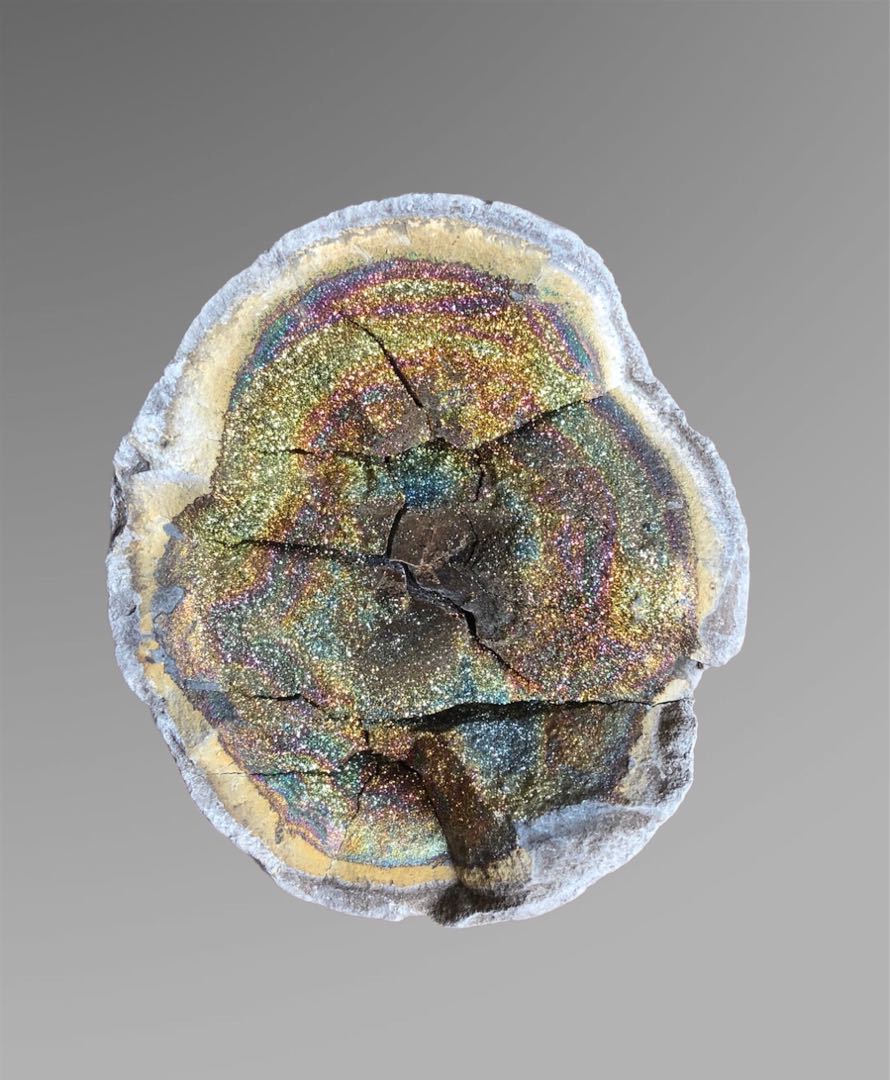 Rainbow pyrite geode, Everything Else on Carousell