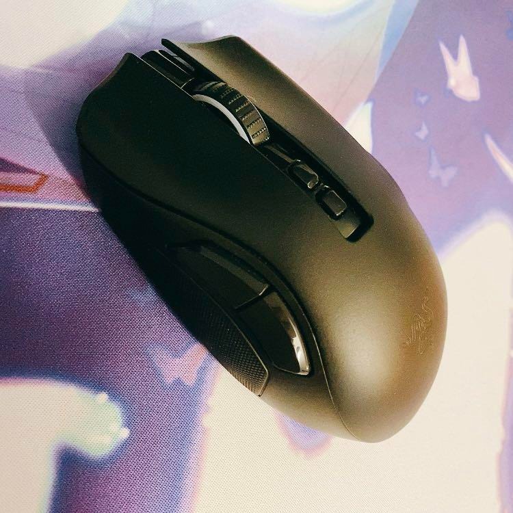 Razer Naga Pro + Dock station, Computers & Tech, Parts & Accessories ...