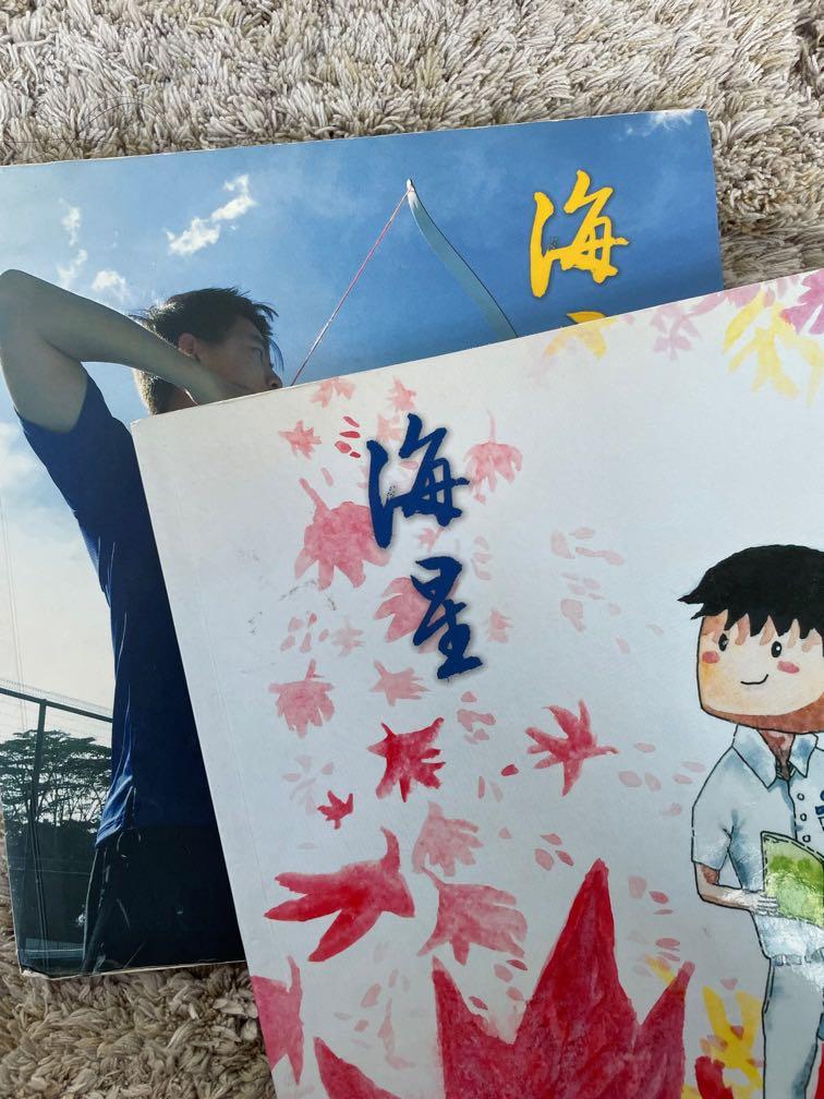 SECONDARY/O LEVEL Chinese Composition Samples Book, Hobbies & Toys ...