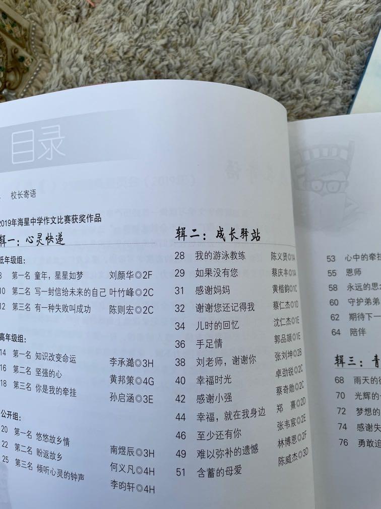 SECONDARY/O LEVEL Chinese Composition Samples Book, Hobbies & Toys ...