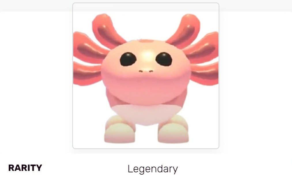 Axolotl : Adopt Me : Roblox, Video Gaming, Video Games, Others on Carousell