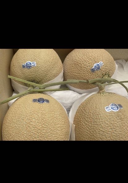 Japan crown melon, Food & Drinks, Fresh Produce on Carousell