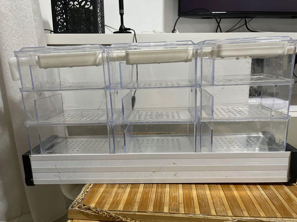 Overhead drip filter/Clear box/3tiers x 3boxes, Pet Supplies, Homes ...