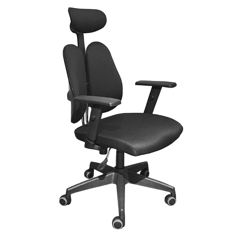 Pride Dual Back Chair (Ergonomic Office Chair), Furniture & Home Living ...
