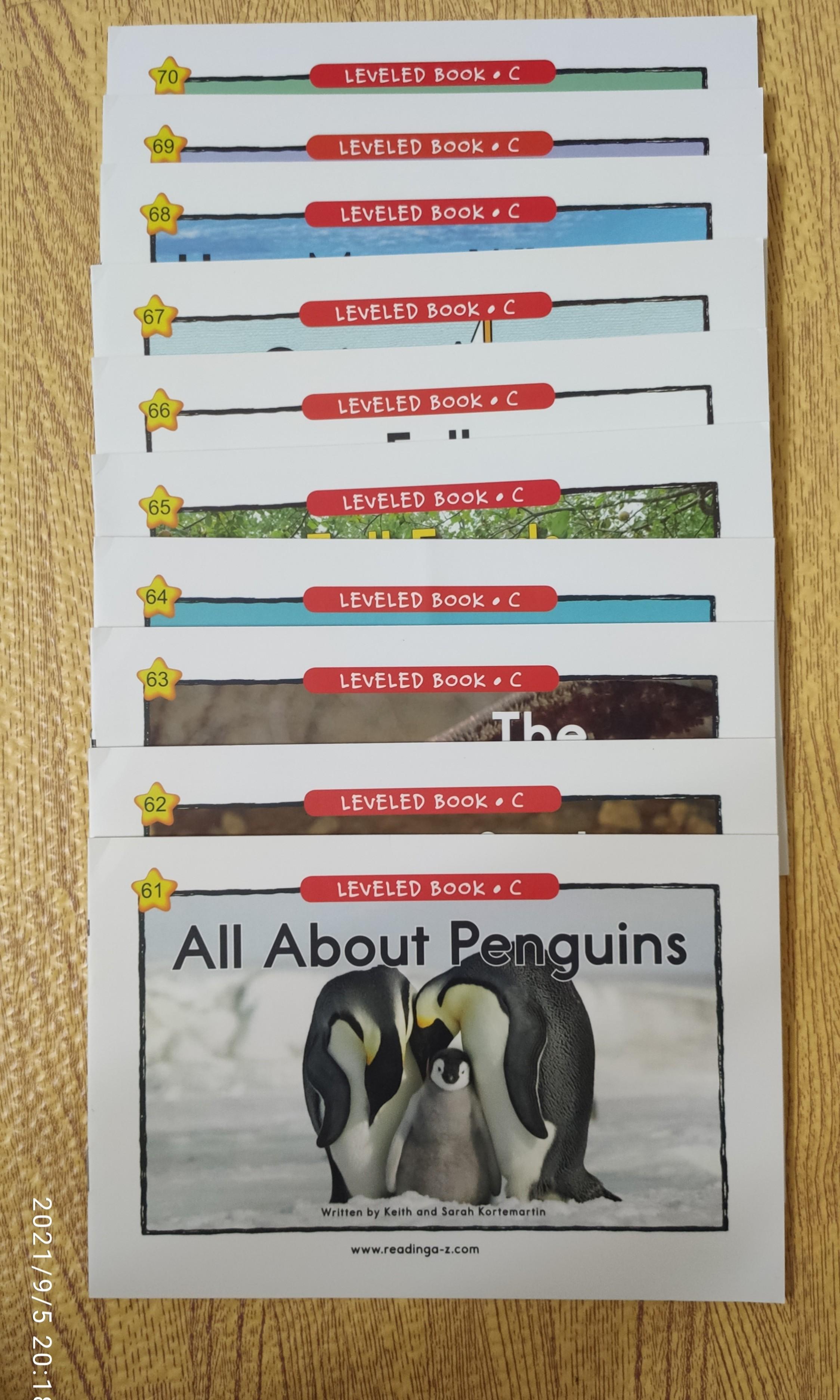 Reading A-Z level C book 1-100, Hobbies & Toys, Books & Magazines ...