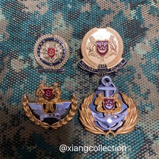 SAF RSN RSAF MP new formation badge CTIG, Hobbies & Toys, Memorabilia ...