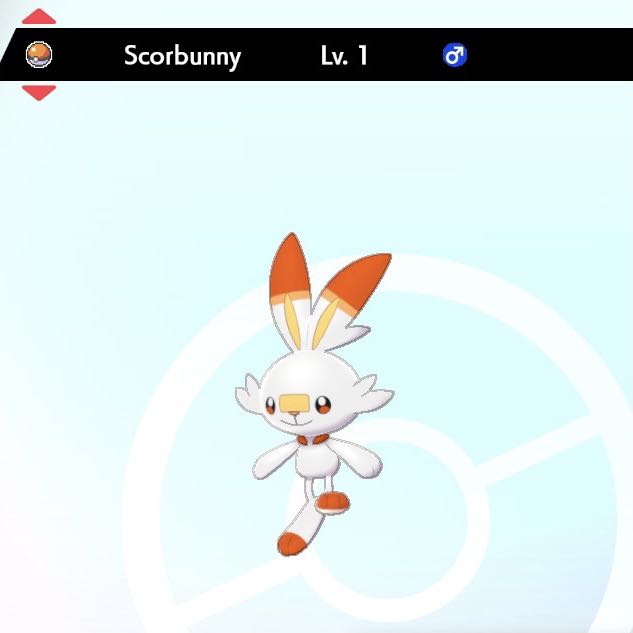Scorbunny Libero Hidden Ability (Pokemon Sword and Shield), Video ...