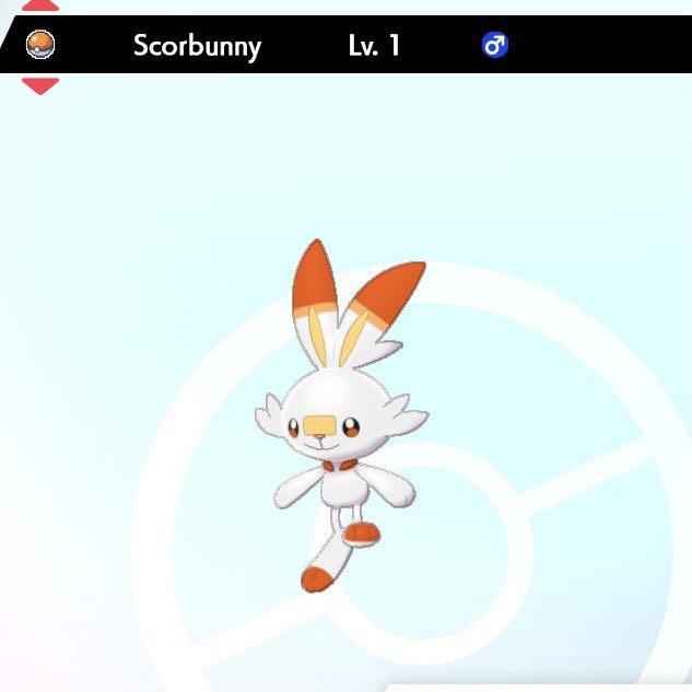Scorbunny with Egg Moves and 5IVs (Pokemon Sword and Shield), Video ...