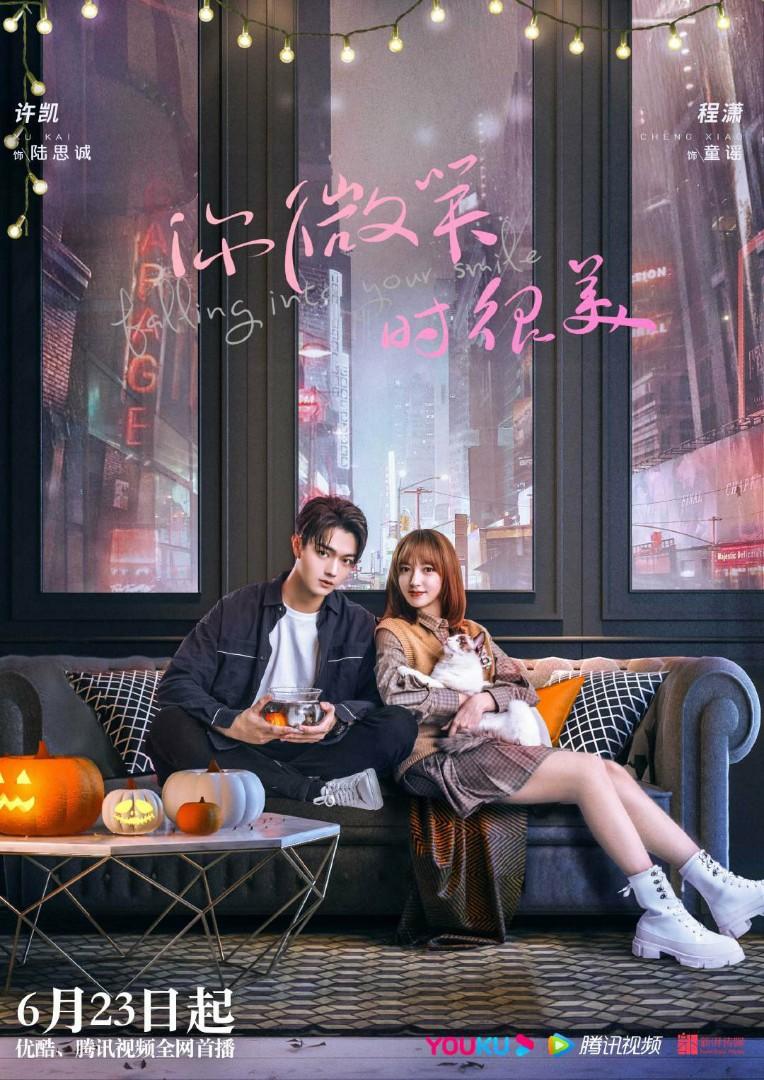 FALLING INTO YOUR SMILE LU SI CHENG / CHESSMAN / XU KAI CUSHION CDRAMA ...