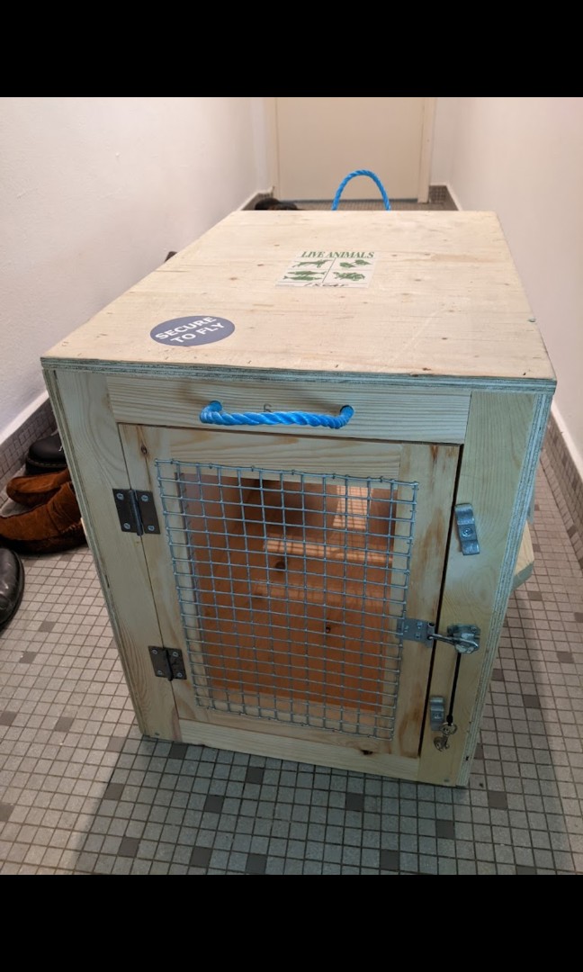 IATA Approved Wooden Pet Crate, Pet Supplies, Homes & Other Pet ...