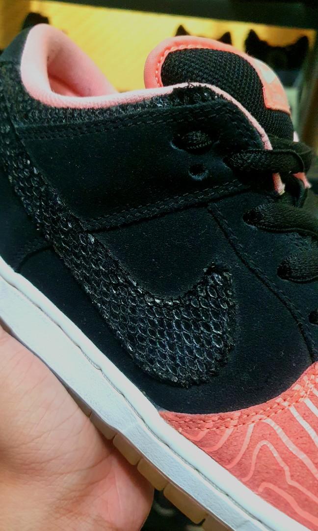 NIKE SB DUNK LOW "Fish Ladder", Men's Fashion, Footwear, Sneakers on ...