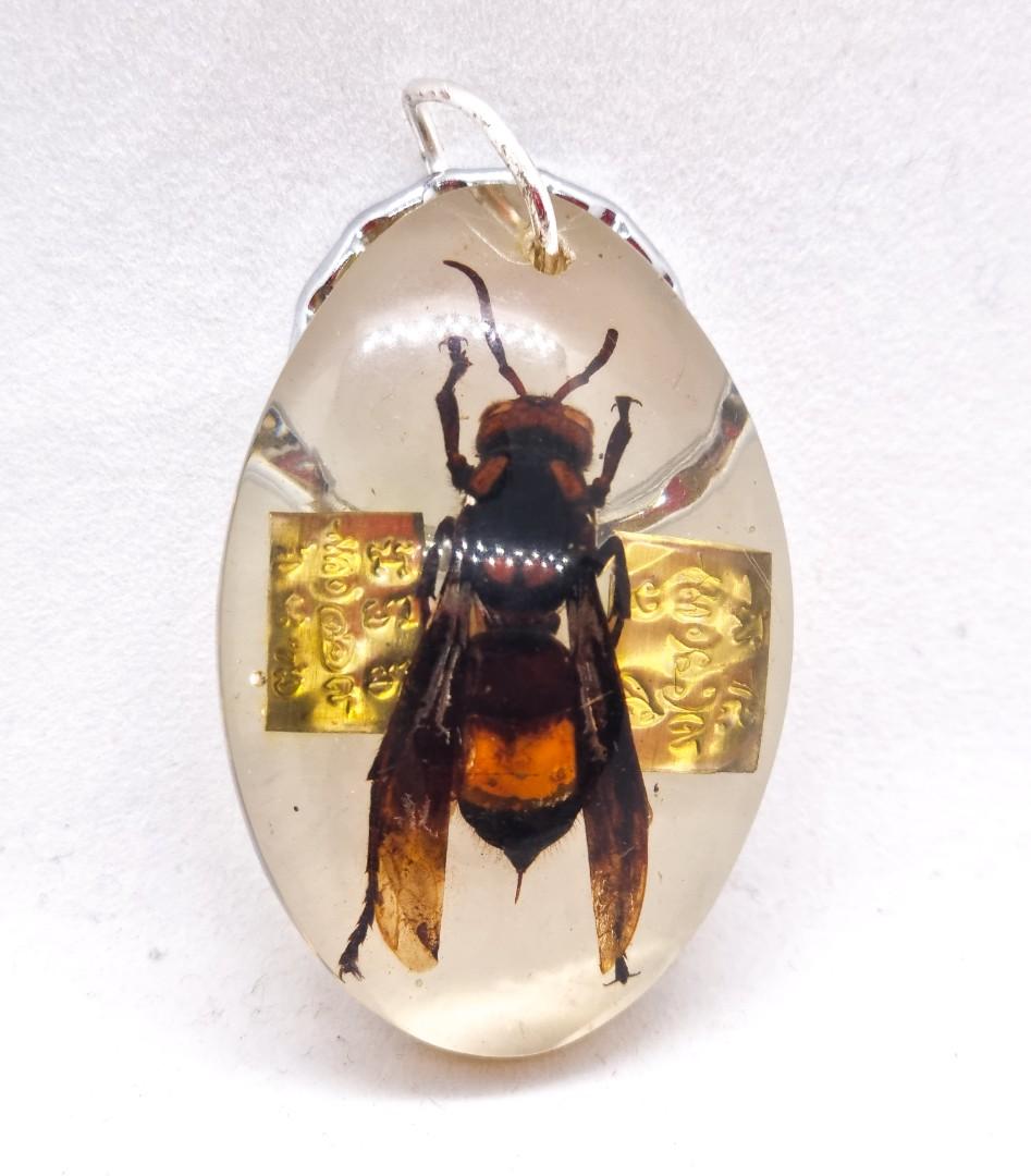 LP Jued King of Wasp, Wealth fetching Wasp, Hobbies & Toys, Memorabilia ...