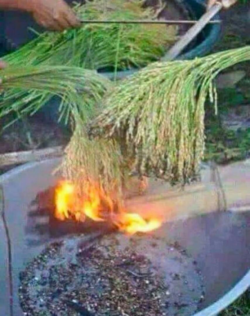 Dudumen/pinipig, Food & Drinks, Local Eats on Carousell