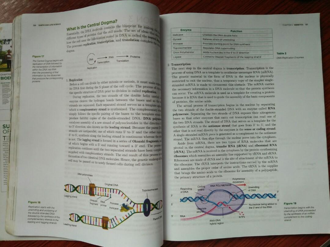 SHS Book - Earth and Life Science (VIBAL), Hobbies & Toys, Books ...