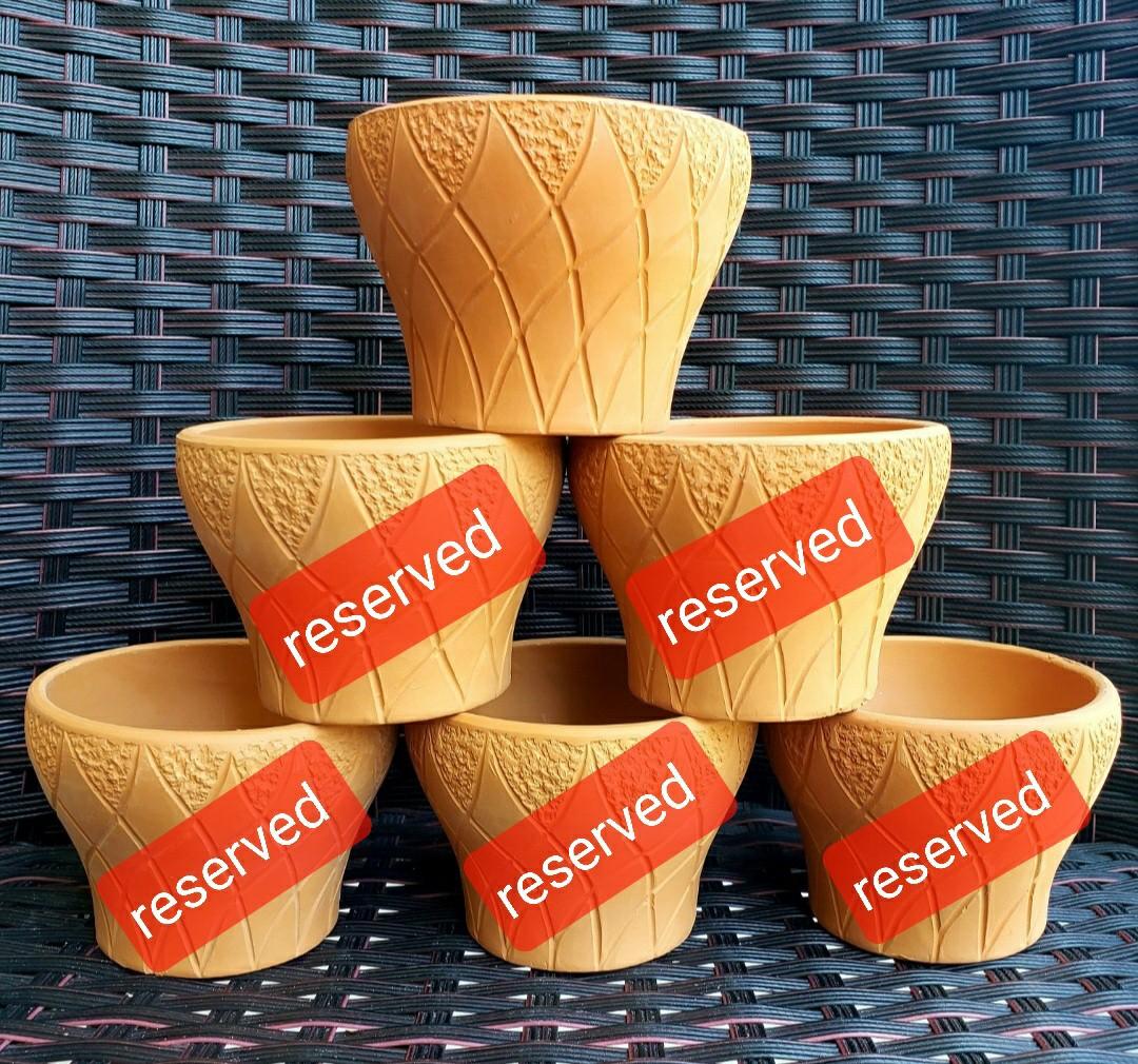 10cm Terracotta pots for succulents and lithops, Furniture & Home ...