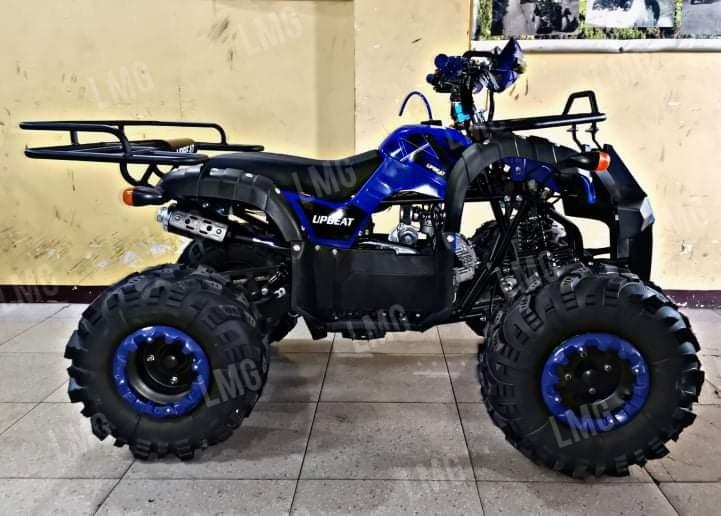 Atv 125cc "Lifan Lobo" Semi Automatic, Motorbikes on Carousell