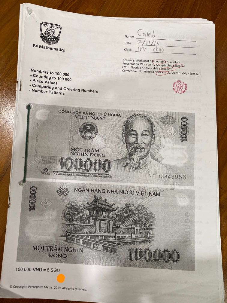 P4 Perceptum MATH notes and worksheets, Everything Else on Carousell