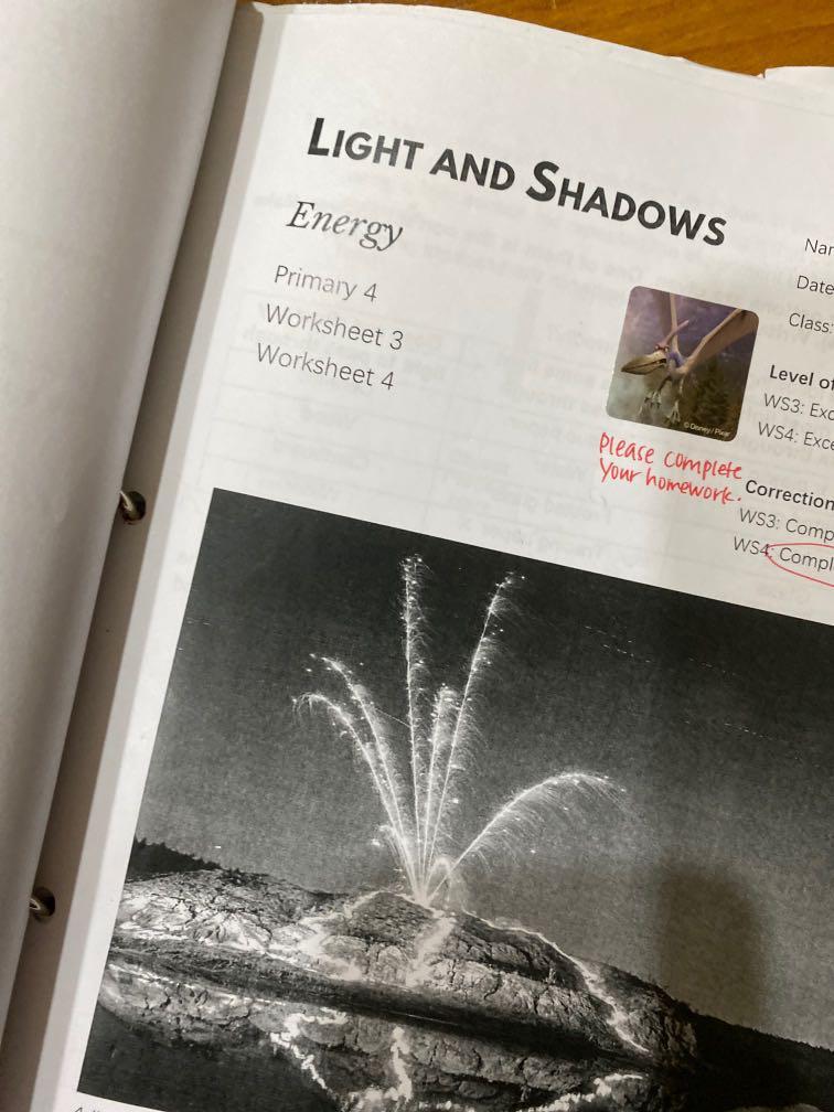 P4 Perceptum SCIENCE worksheets and notes, Hobbies & Toys, Books ...