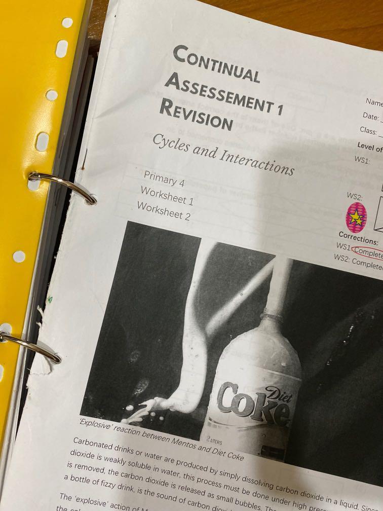 P4 Perceptum SCIENCE worksheets and notes, Hobbies & Toys, Books ...