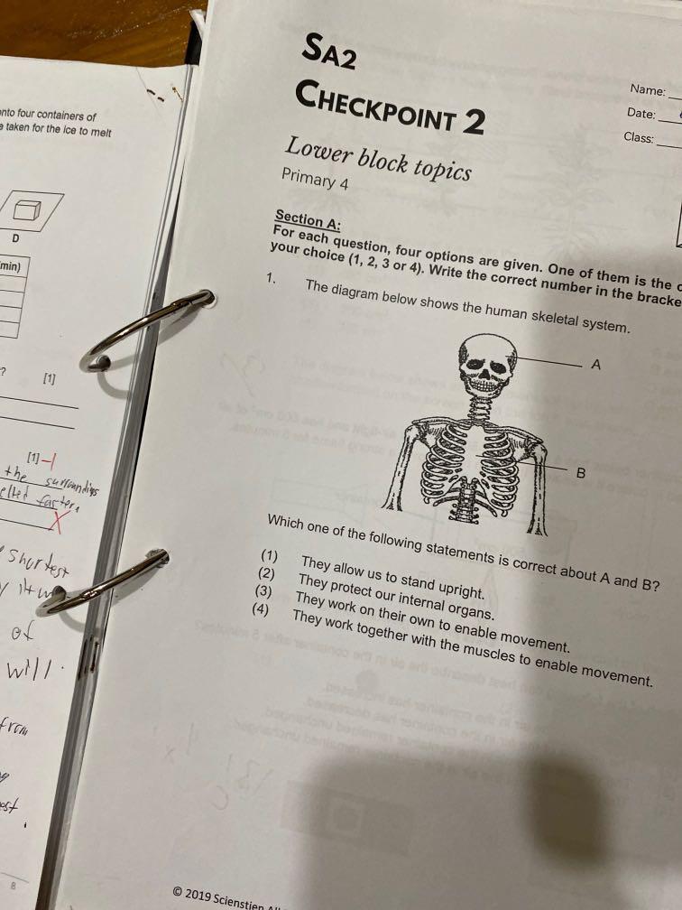 P4 Perceptum SCIENCE worksheets and notes, Hobbies & Toys, Books ...