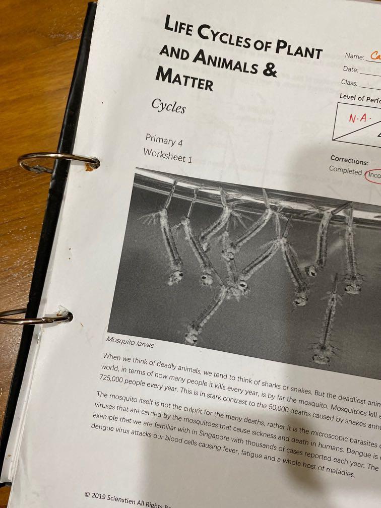 P4 Perceptum SCIENCE worksheets and notes, Hobbies & Toys, Books ...