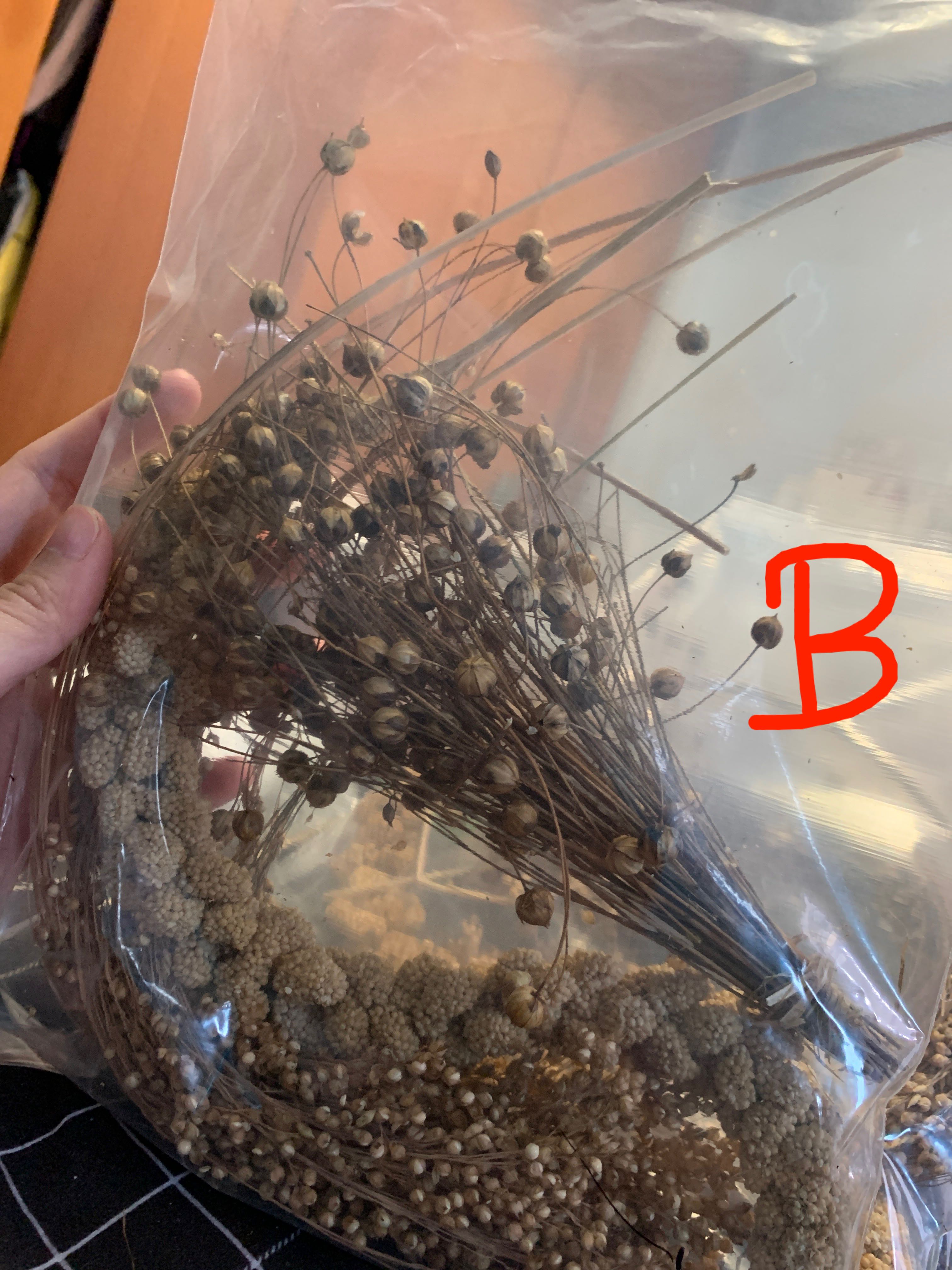 millet spray/millet / flax spray, Pet Supplies, Pet Food on Carousell