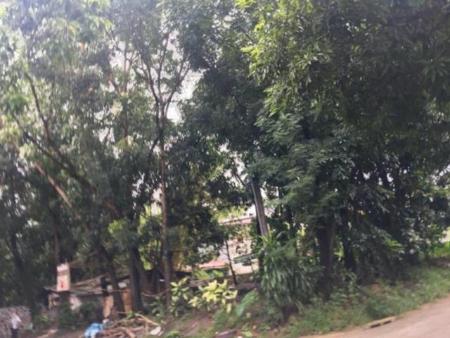 Corner Lot with Tall Trees in Antipolo Crestview Homes, Property, For ...