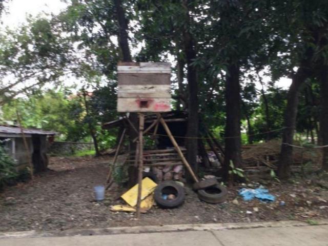 Corner Lot with Tall Trees in Antipolo Crestview Homes, Property, For ...